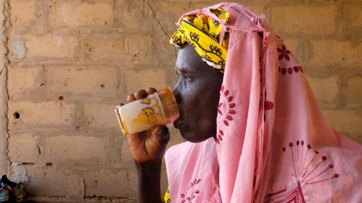 The energy to stay: Senegal's village of women - FurtherAfrica